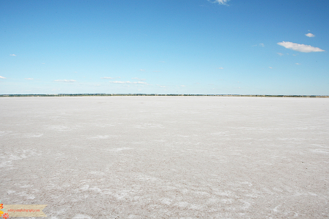 Explore OK {Salt Plains National Wildlife Refuge ...