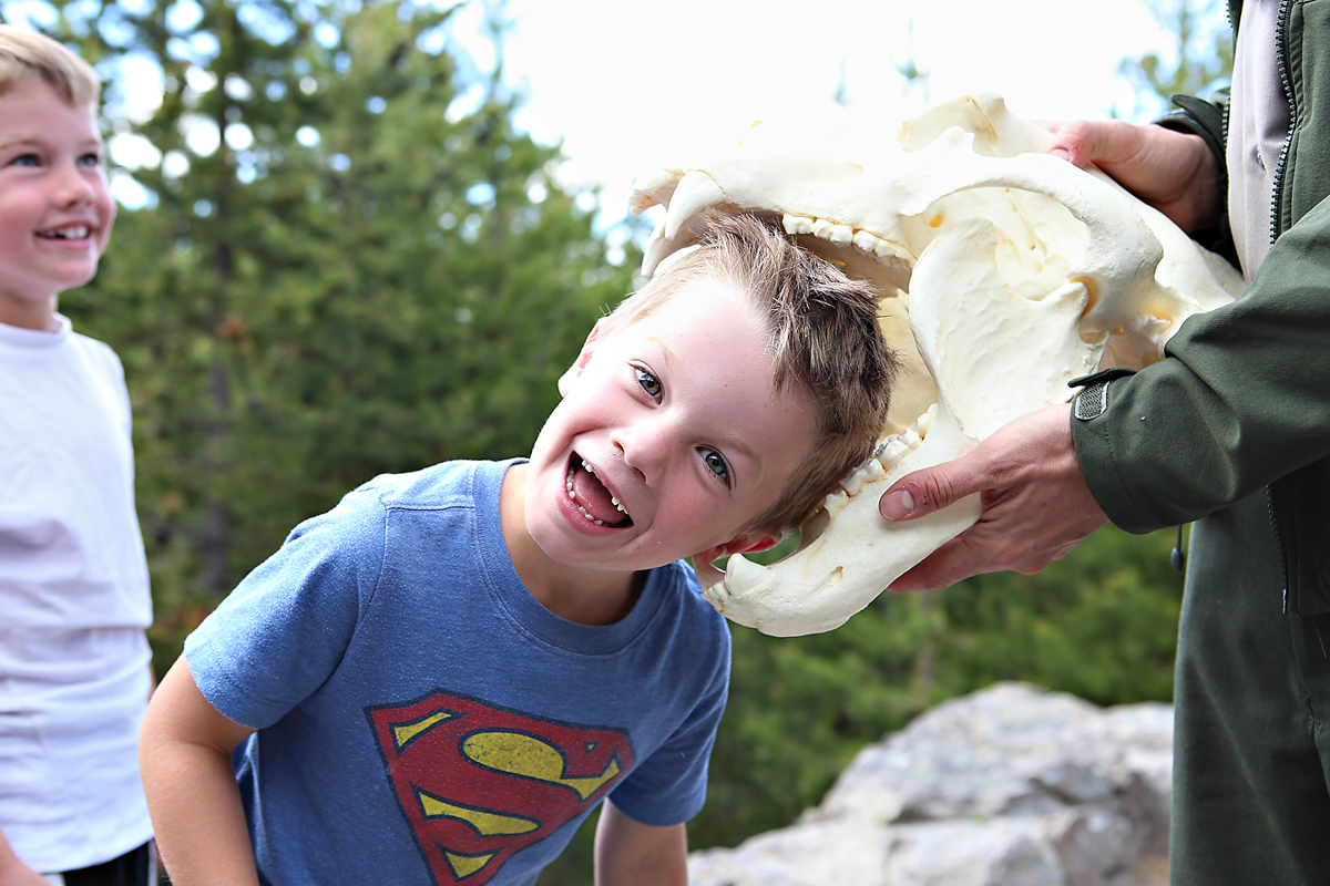 Explore {junior ranger program} - Ashley Ann Campbell