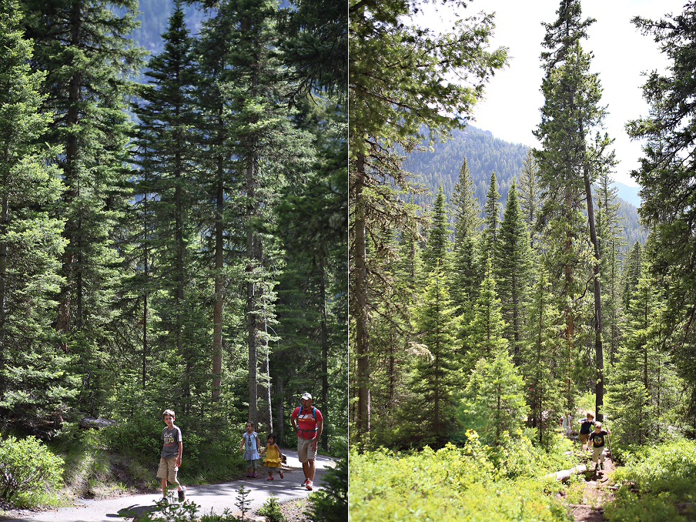 Explore MT {Palisade Falls & Bozeman, MT} » ashleyannphotography.com