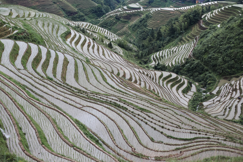 Longsheng Rice Terraces & Dazhai Village » ashleyannphotography.com