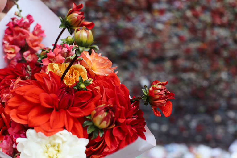 Explore {Seattle, WA} » ashleyannphotography.com